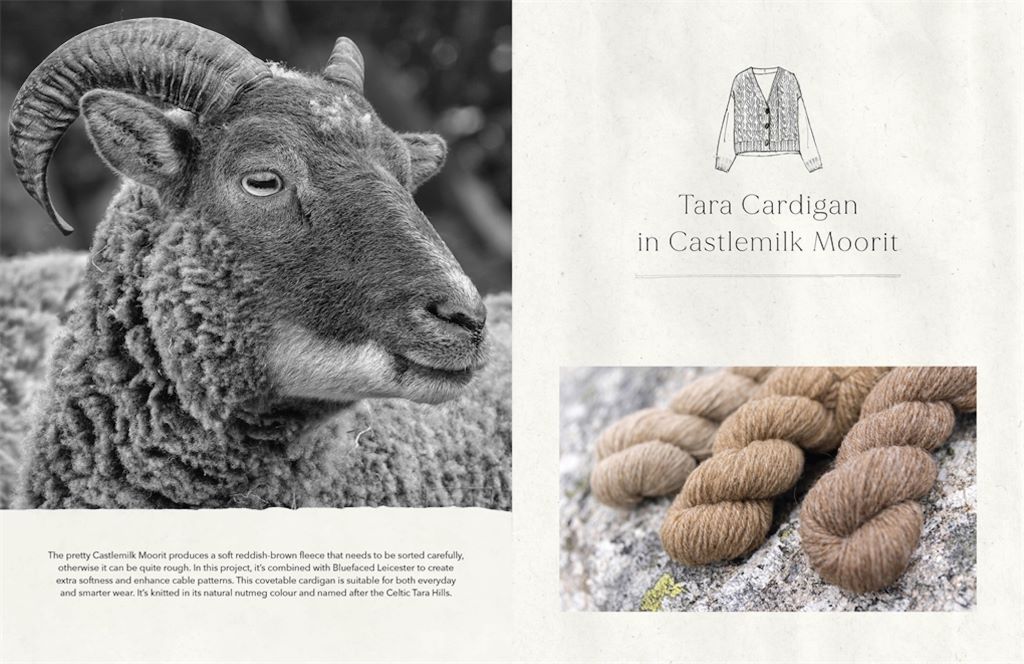 The Wonder of Wool by Justine Lee and Jess Morency – Laine des Iles